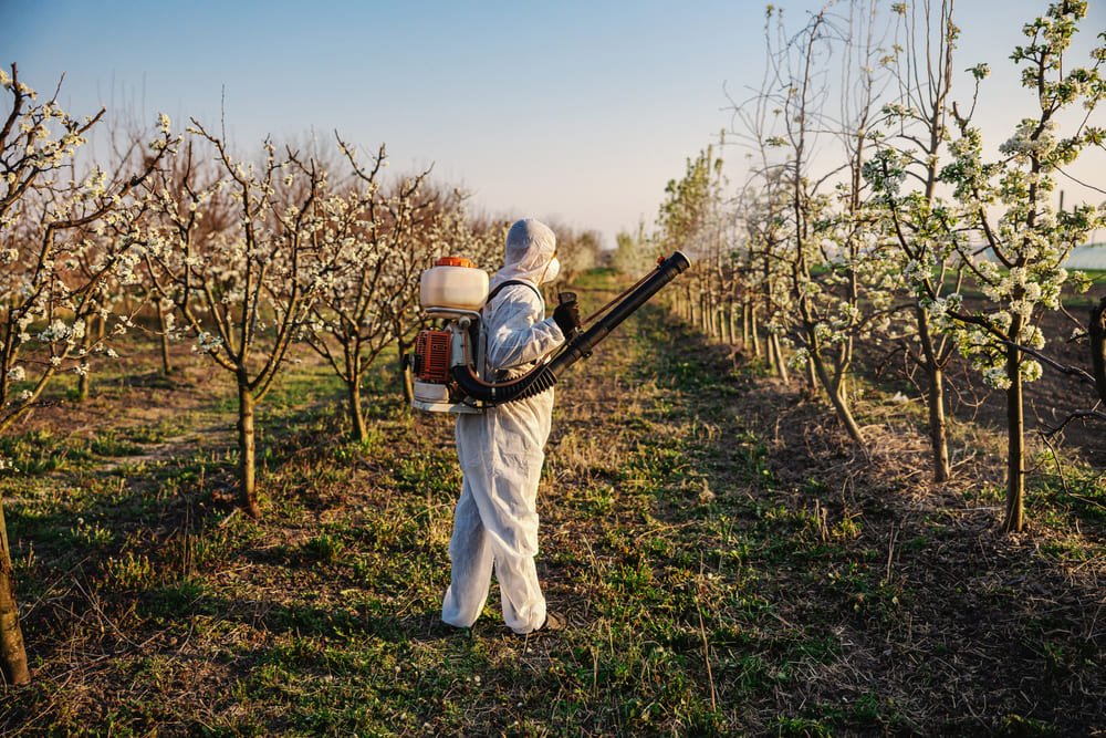 Pesticidele: ce sunt, cate tipuri exista si cum se utilizeaza?