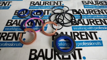 Kit garnituri cilindru de directie nacela verticala electrica Haulotte ...