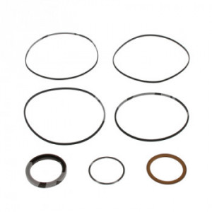 Kit garnituri motor hidraulic nacela Upright TM12 101125-010