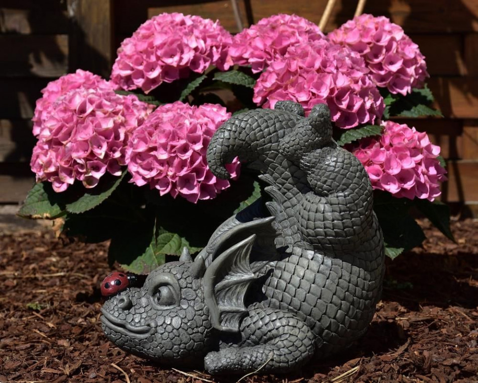 Statueta pentru gradina Dragonel si buburuza 22cm | Gothic Fairy