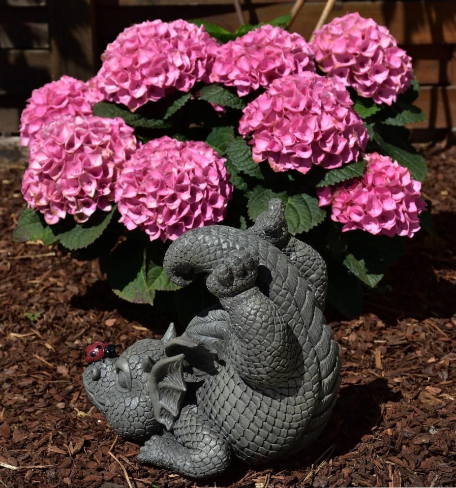 Statueta pentru gradina Dragonel si buburuza 22cm | Gothic Fairy
