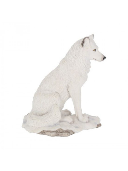 Statueta lup alb Lupul Naluca 20 cm | Gothic Fairy