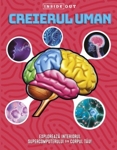 Model 3D detaliat al Creierului Uman – Educație Anatomie
