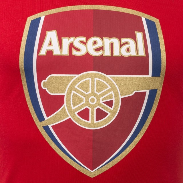 Tricou Puma Arsenal pentru barbati - Produse sport originale - Pantofi ...