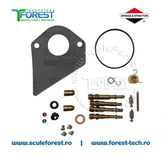 Kit reparatie carburator original Briggs & Stratton 497535