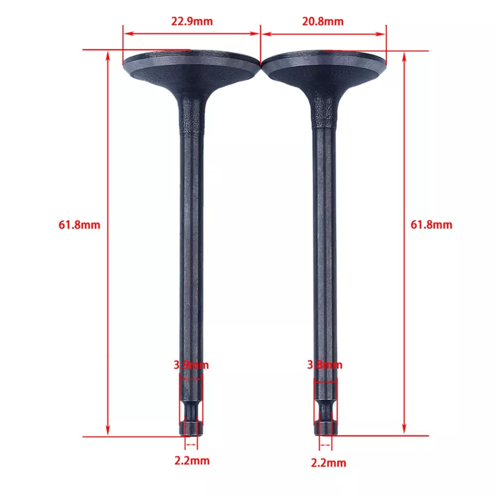 Valves for brushcutter Honda GX 100