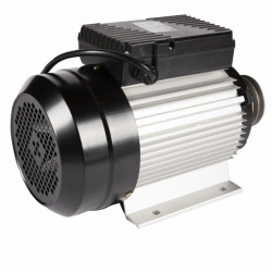 Single-phase electric motor 4 KW 3000 RPM (Rusia)