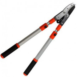 Aluminum extendable scissors for branches