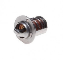 Thermostat for scooter AM6