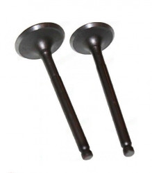 Valves for ATV 110cc