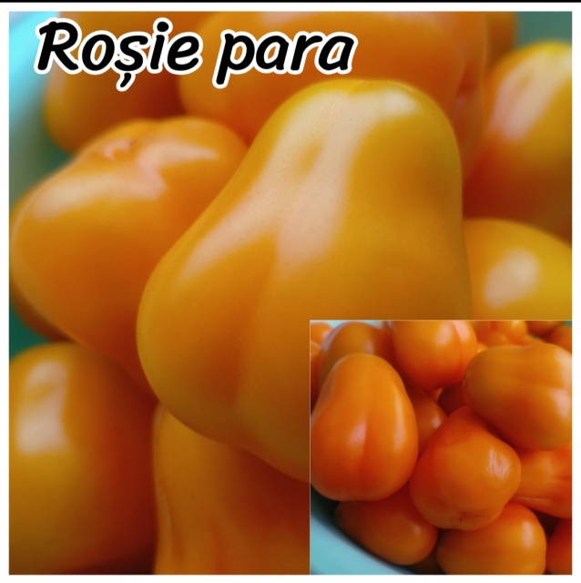 CATEGORIA 1 - tomate - Seminte romanesti de legume- PRODUCATOR ...