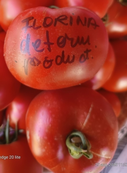 ROSII FLORINA, 50 seminte, detalii...