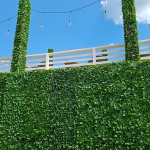 VV 5001 Ivy -"gard viu''artificial,sintetic -role 1mx3m