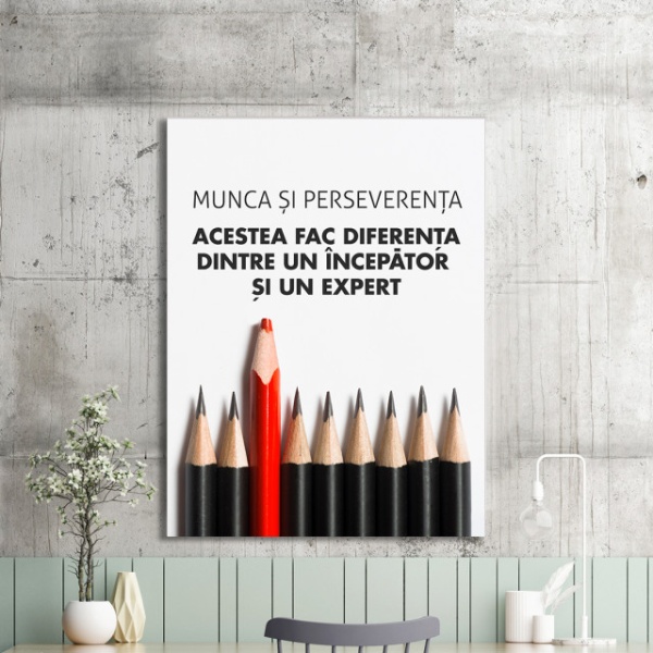 Tablou Motivational - Diferenta Dintre Incepator Si Expert