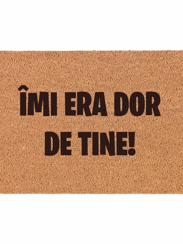 Covor de intrare personalizat - 60x40cm - Îmi era dor de tine!