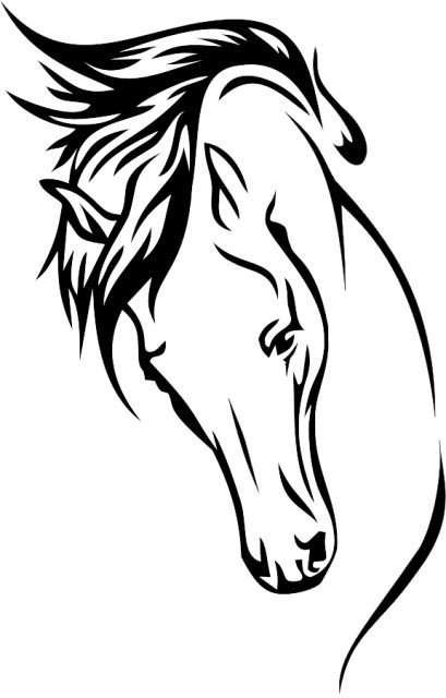 Sticker De Perete Cal 01