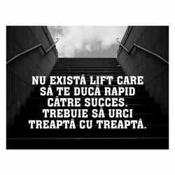 Tablou Motivational - Nu Exista Lift Spre Succes