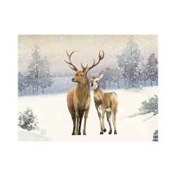 Tablou Cerb si caprioara (efect pictura)