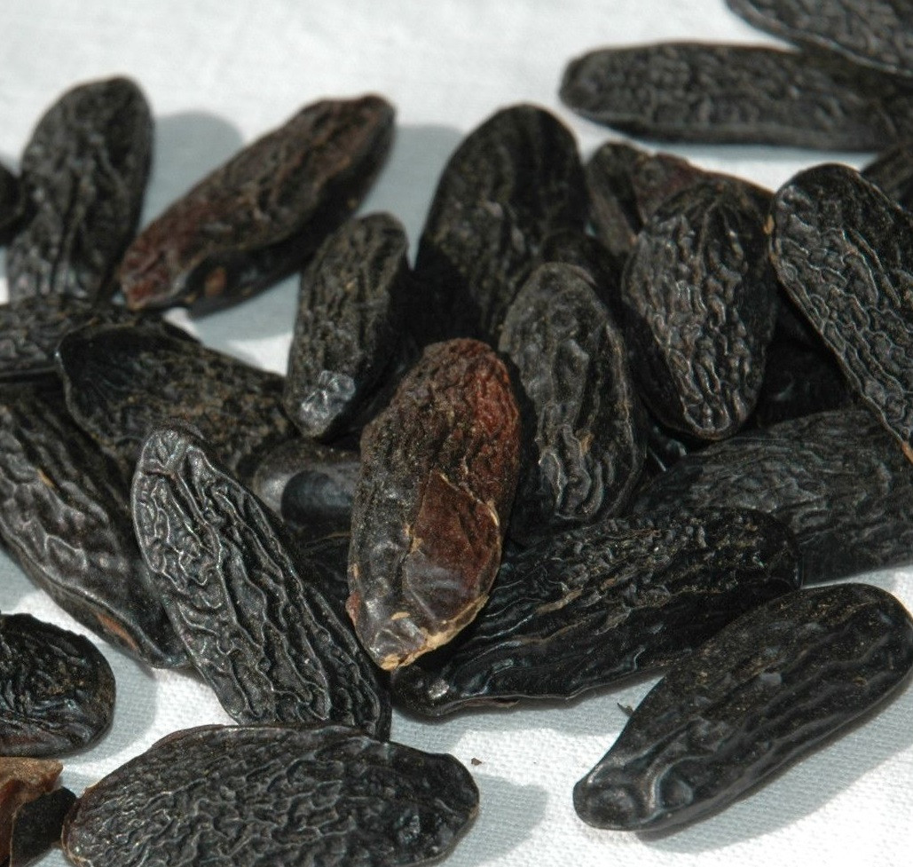Parfumant African Tonka 10 gr