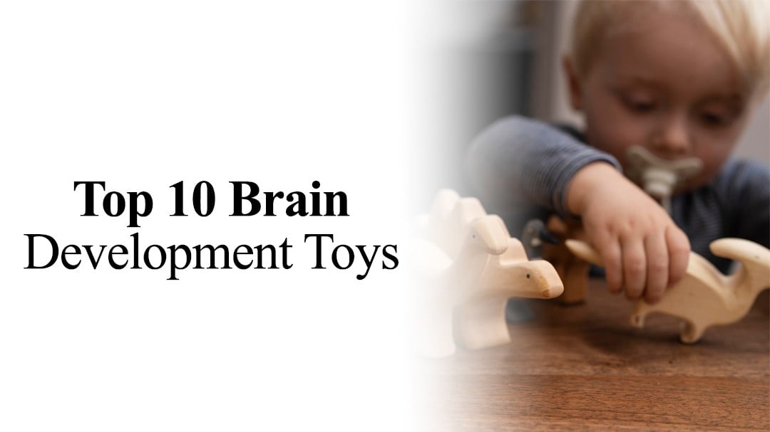 Top 10 Brain Development Toys for Toddlers