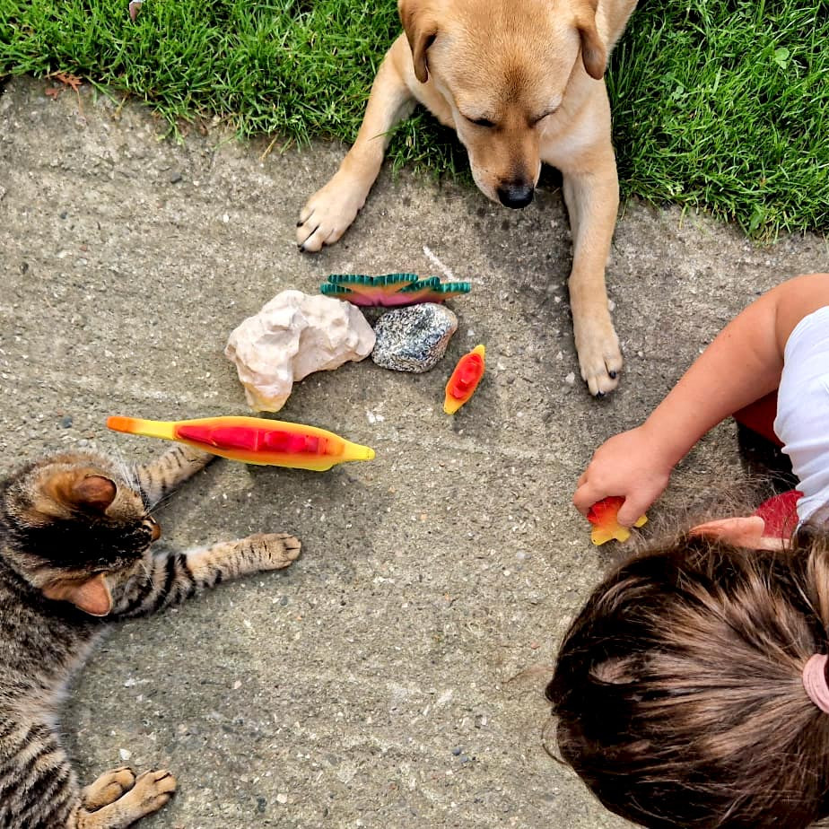 Handcrafted Stegosaurus Baby Dinosaur Toy | Eco-Friendly | BumbuToys