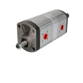 Pompa hidraulica HEMA 1PN/1PN/119