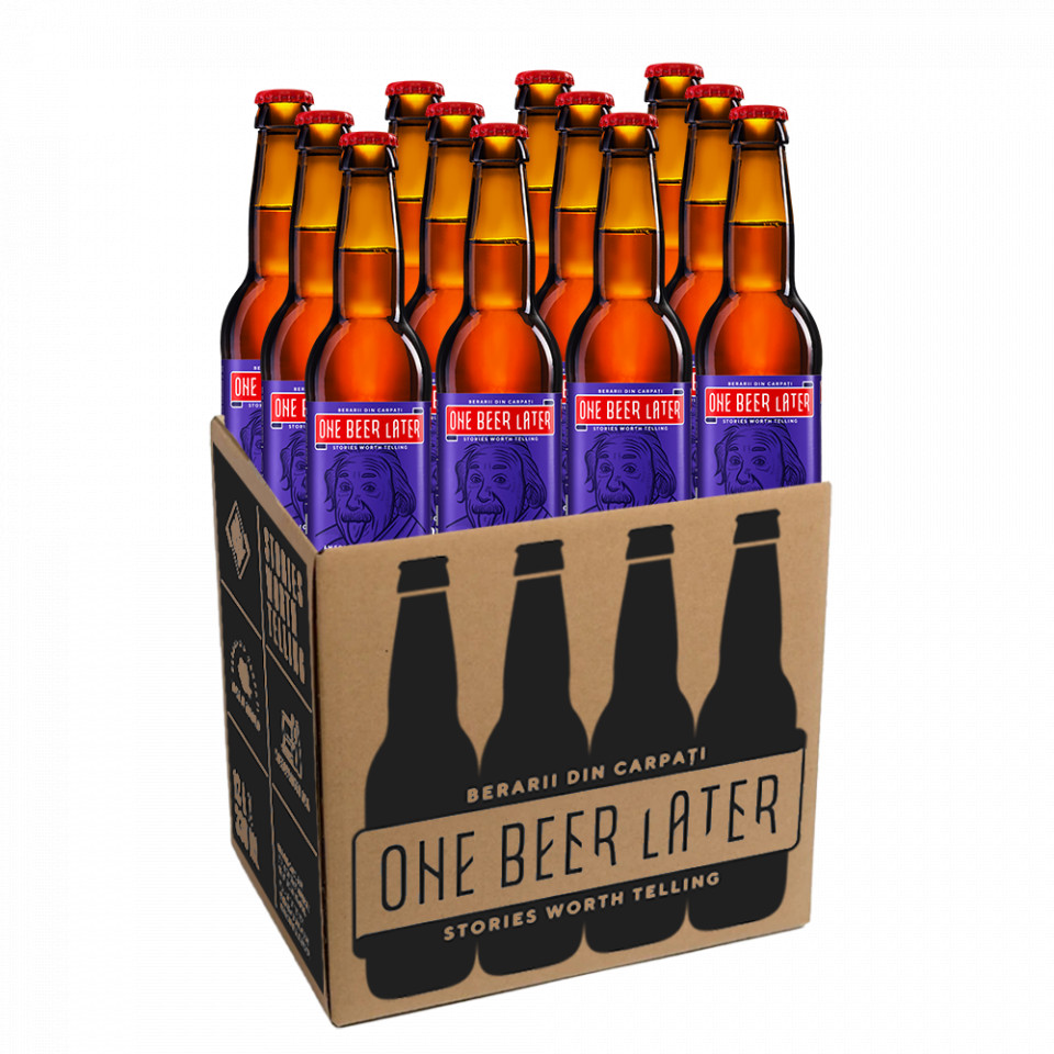 One Beer Later Albert is Wrong - 12 PACK