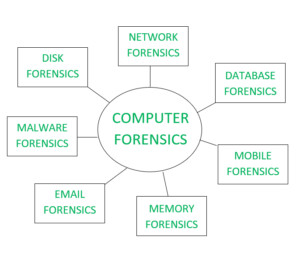 Computer Forensic examination and analysis
