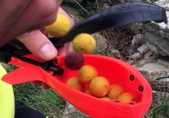 RACHETA NADIRE WOLF X-SPOD RED M