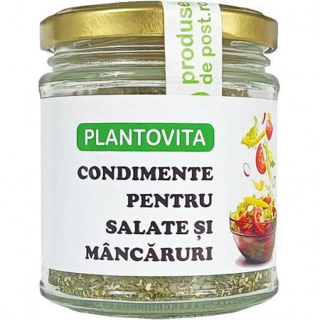 Condimente pentru salate si mancaruri fara telina - 55G