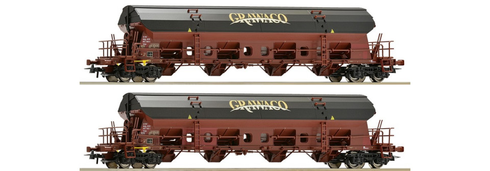 Roco 61196 Geoline met bedding H0 Wisseldecoder Geo-Line NIEUW