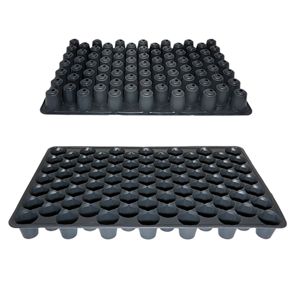 Tava alveolara 85 celule pentru rasaduri de legume si flori