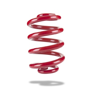 Arc elicoidal spate Volkswagen Transporter T5, T6 Pedders