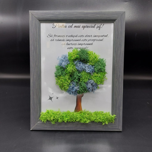 Tablouri cu licheni personalizate