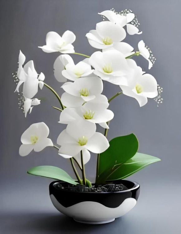 Tablou pictura pe numere, Orhidee alba, rama din lemn, 20 x 30 cm, PM674