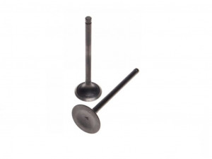 Piese moto Set supape Suzuki GN125