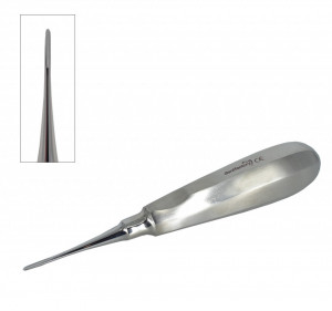 Cumpara acum Elevator ascutit drept - S 2 mm la cel mai bun pret!