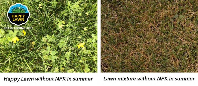 Barenbrug Happy lawn - obloženo seme trave 0,5 kg