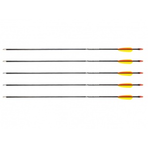Sageata Fibra de sticla 28in smooth - Poe Lang (Set de 5)