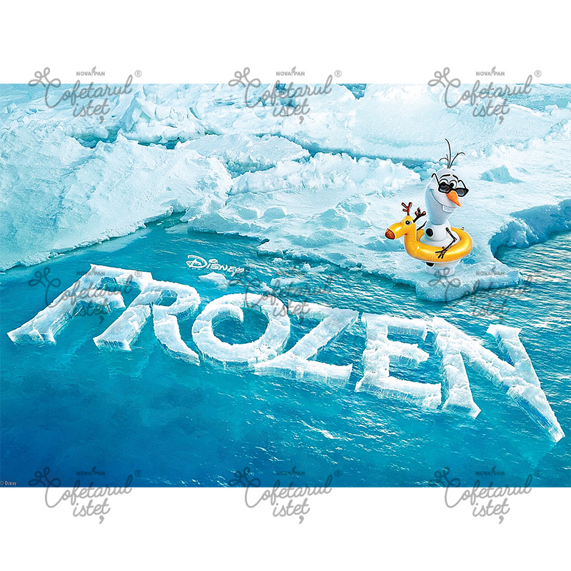 Vafa imprimata Frozen Model 5, A4 - Cofetarul Istet