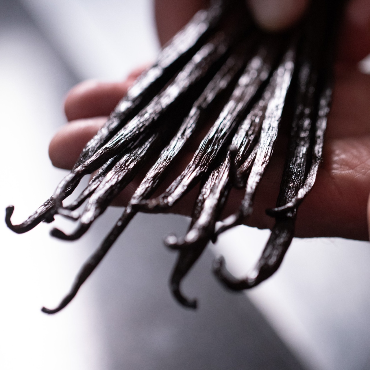 Vanilie Pastai Planifolia Bourbon Madagascar Prova Gourmet, 1 Kg (4x0.25)