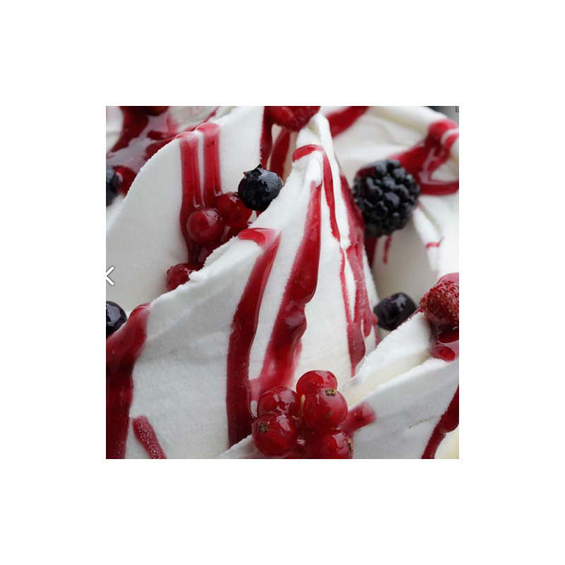 Pasta Aromatizare Fructe de Padure Joypaste Irca 1.2 Kg