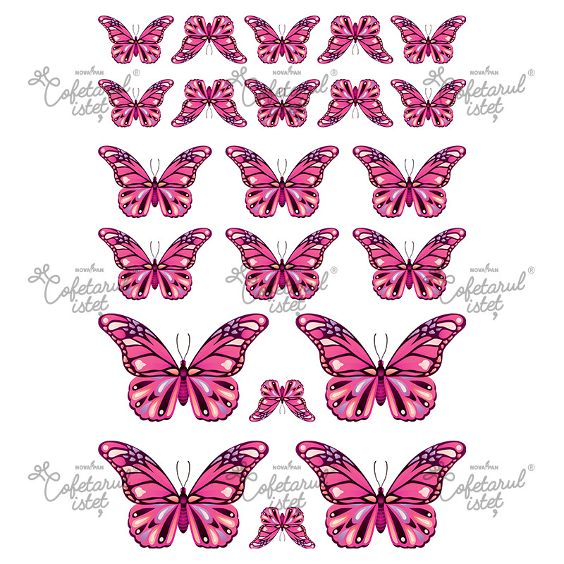 Vafa imprimata Fluturi Model 4 Roz, 22 Decoruri Ø 3.5 - 9 cm, A4 ...