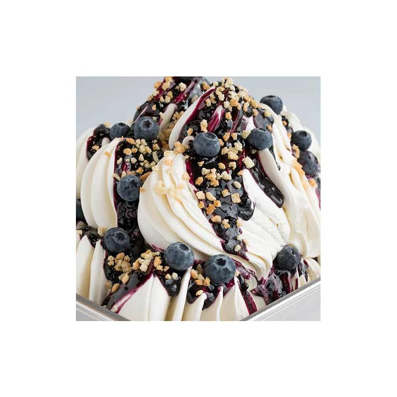 Pasta Aromatizare Afine Joypaste Irca 1.2 Kg