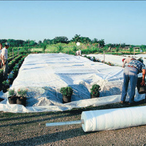Agril folija za zaštitu biljaka 17g 10,5x100m - sa ojačanim ivicama