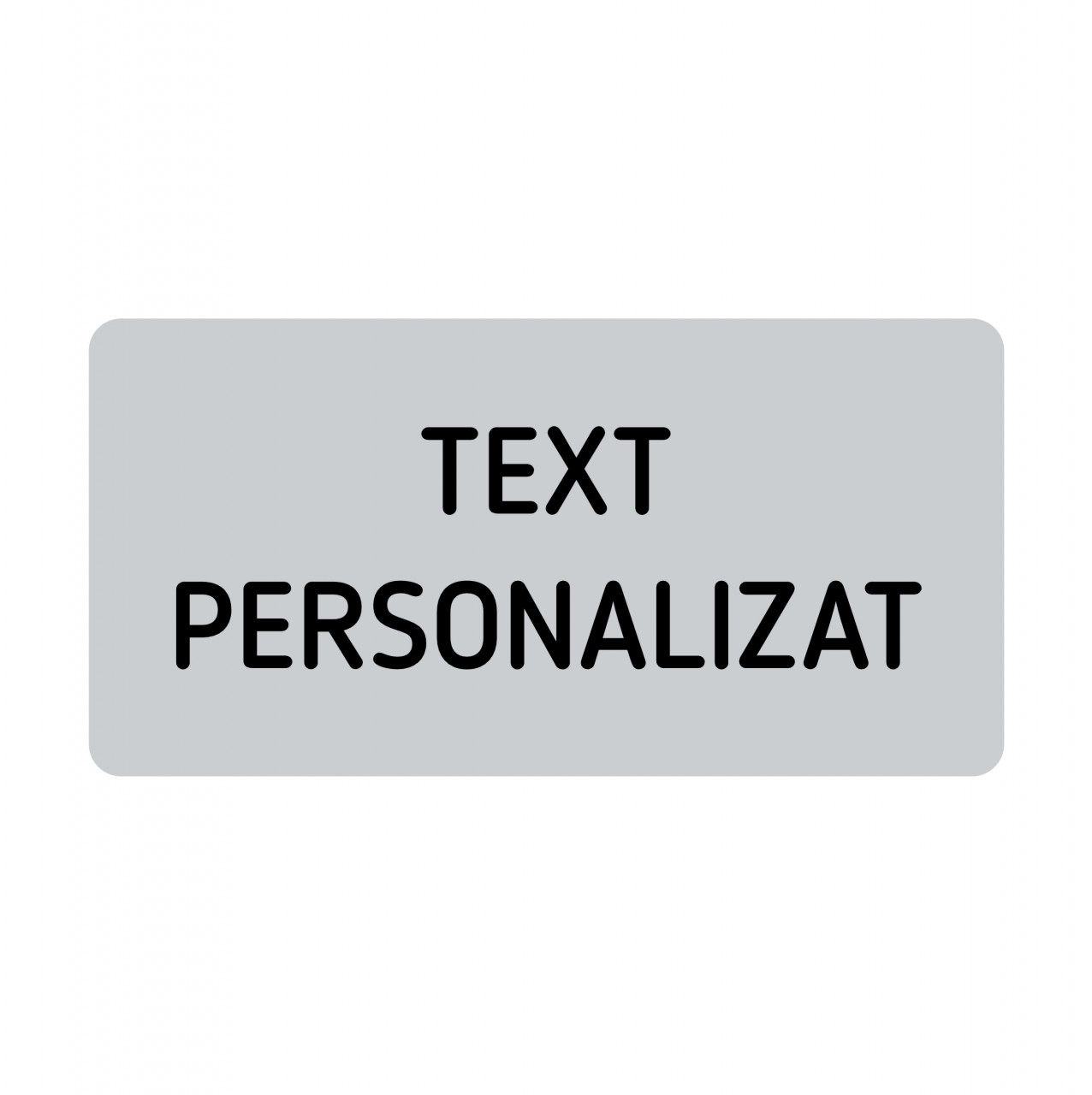 ABS101 Placa ABS 20x10 cm Personalizata