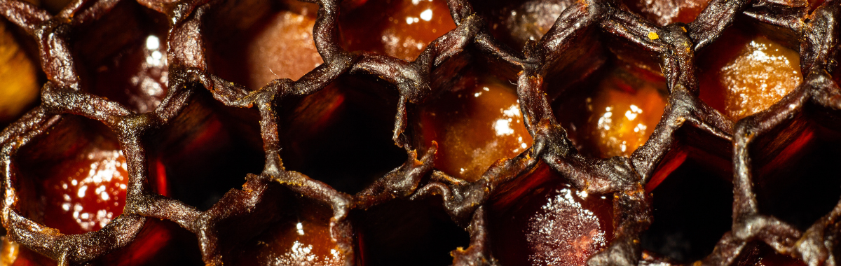 Păstură beneficii și contraindicații