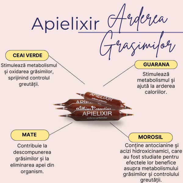 Apielixir Arderea grăsimilor 30 de fiole