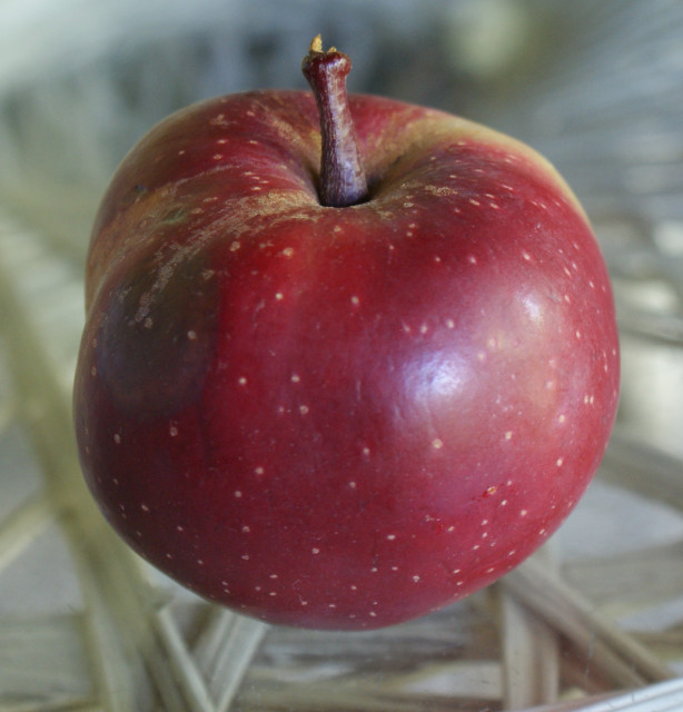 Măr cu miez roșu Baya Marisa