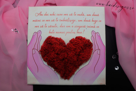 Inimă Înconjurată de Dragoste: Tablou cu Licheni Roșii